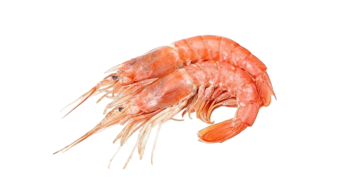 PINK PRAWNS – Omega 3 Fresh